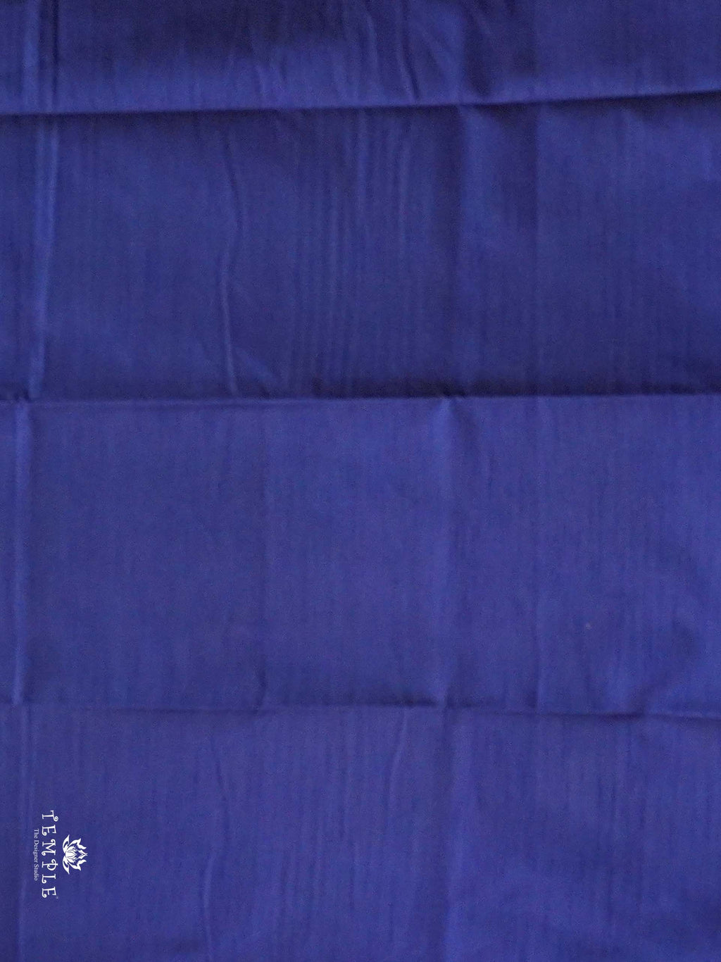 Raw Silk Saree with sequins Work | TTDS2100